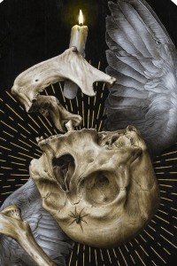 Wheel | Jean Labourdette aka Turf One