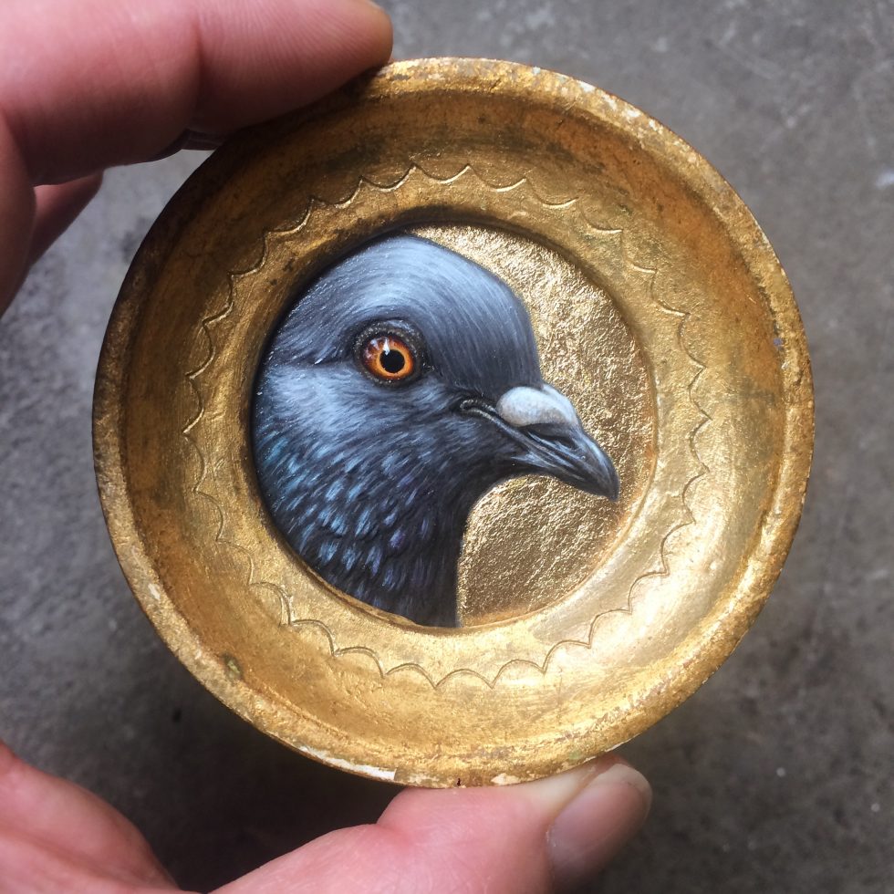 Pigeon | Jean Labourdette aka Turf One
