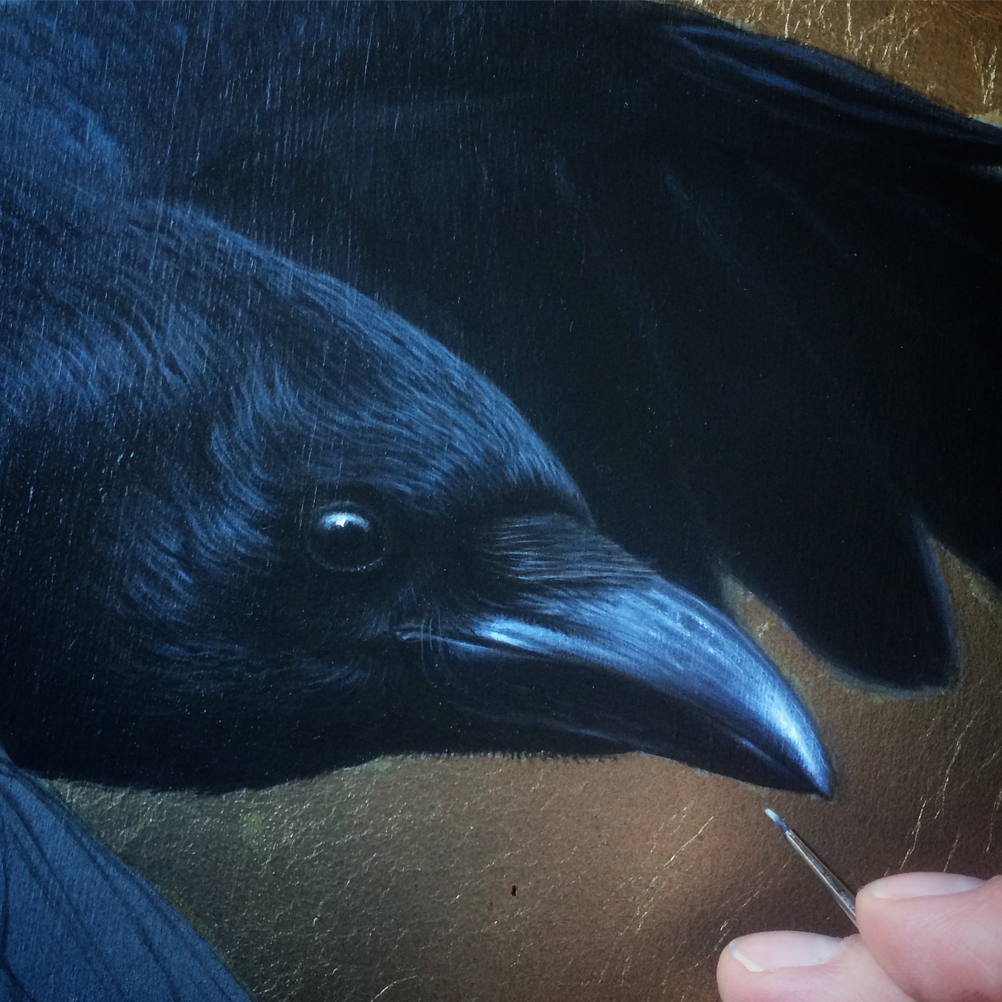 The Crow | Jean Labourdette aka Turf One